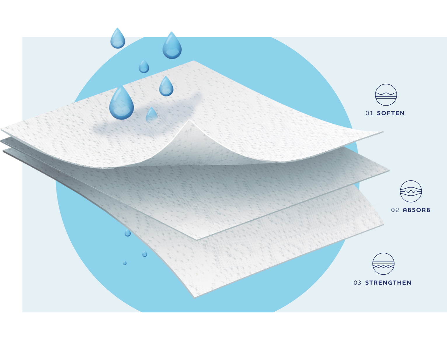 Plenty Paper Towels (12 Pack)